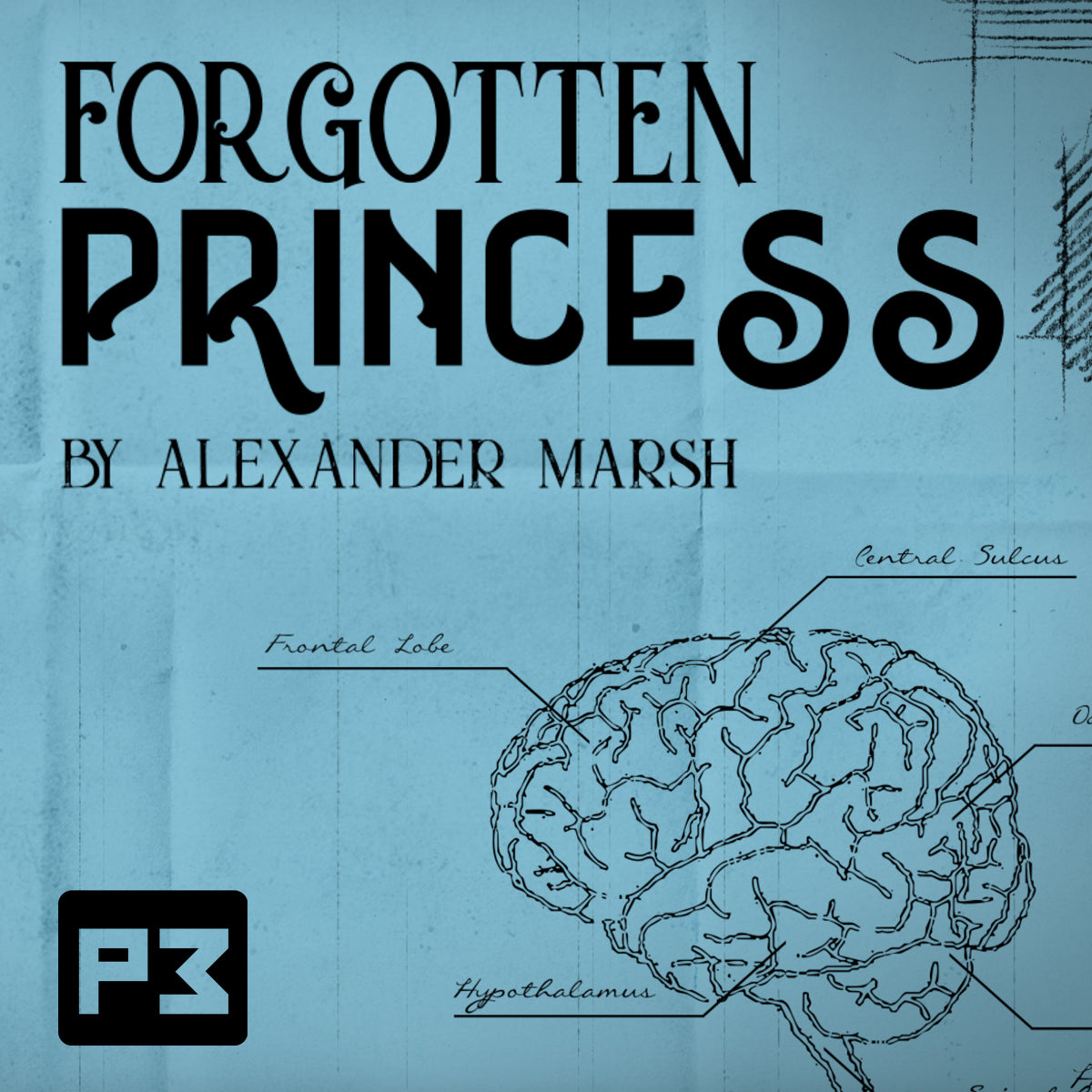 Forgotten Princess by Alexander Marsh – Penguin Magic Wholesale